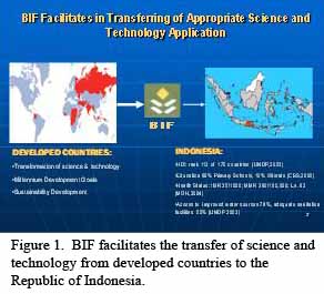 BIF professional offers various services including training and ...